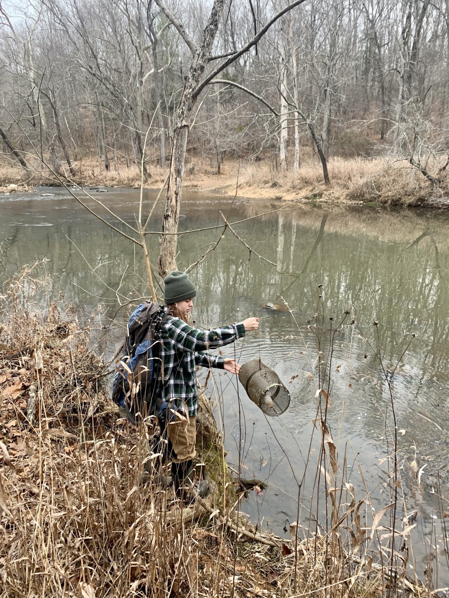 A Peek into Neuse River Waterdog Research in the Eno! - Eno River ...