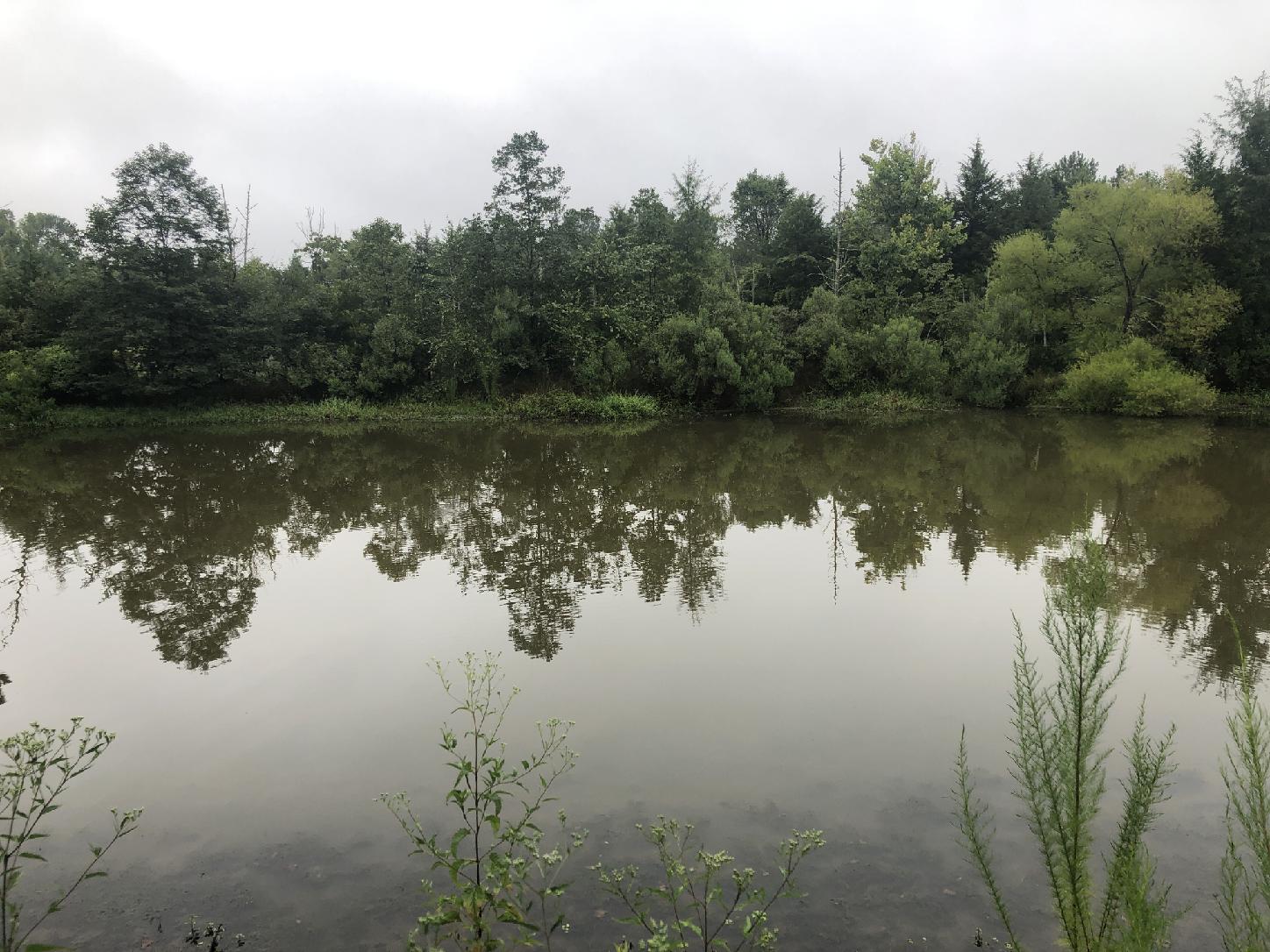 News - Eno River Association