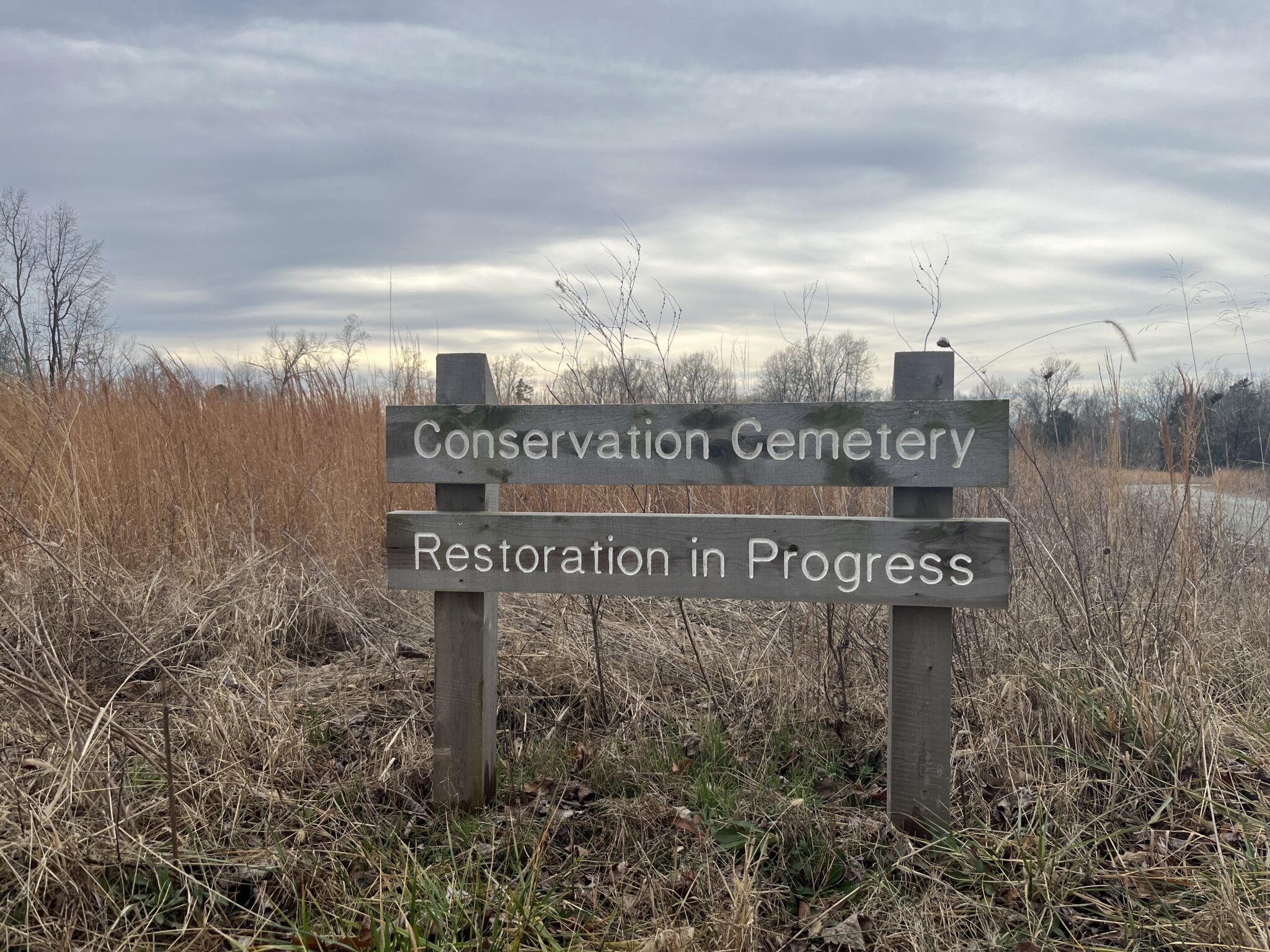 Conservation groups permanently protect first conservation cemetery in ...