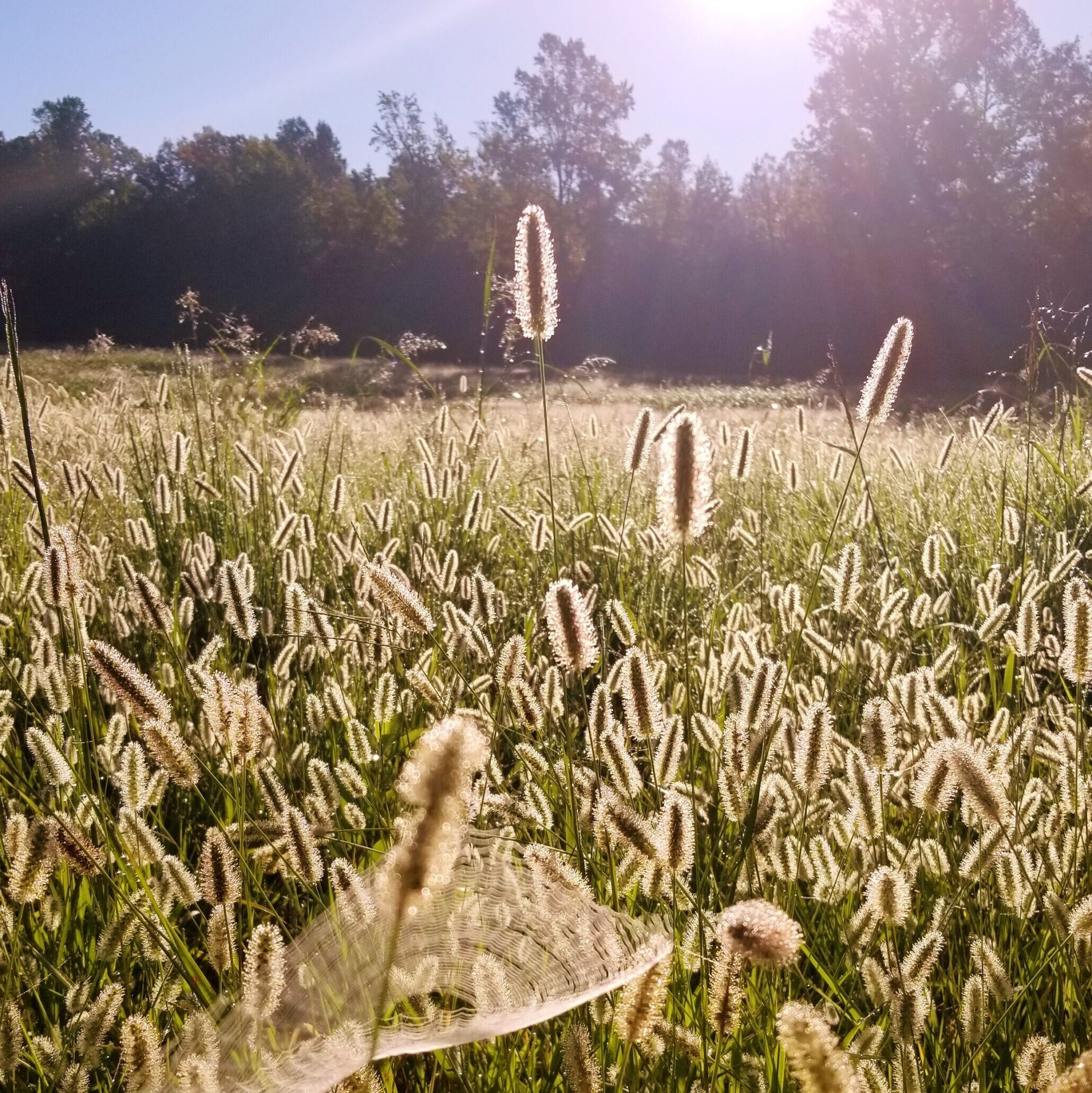 October Director's Message - Eno River Association